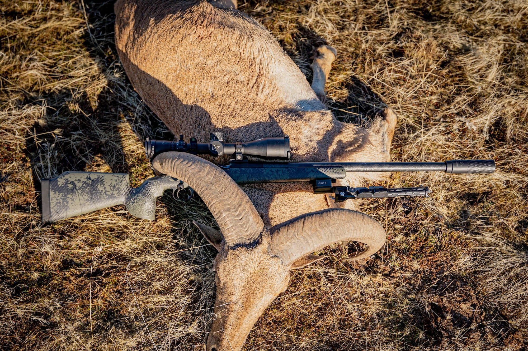 Tenacity Firearms – Tenacity Arms